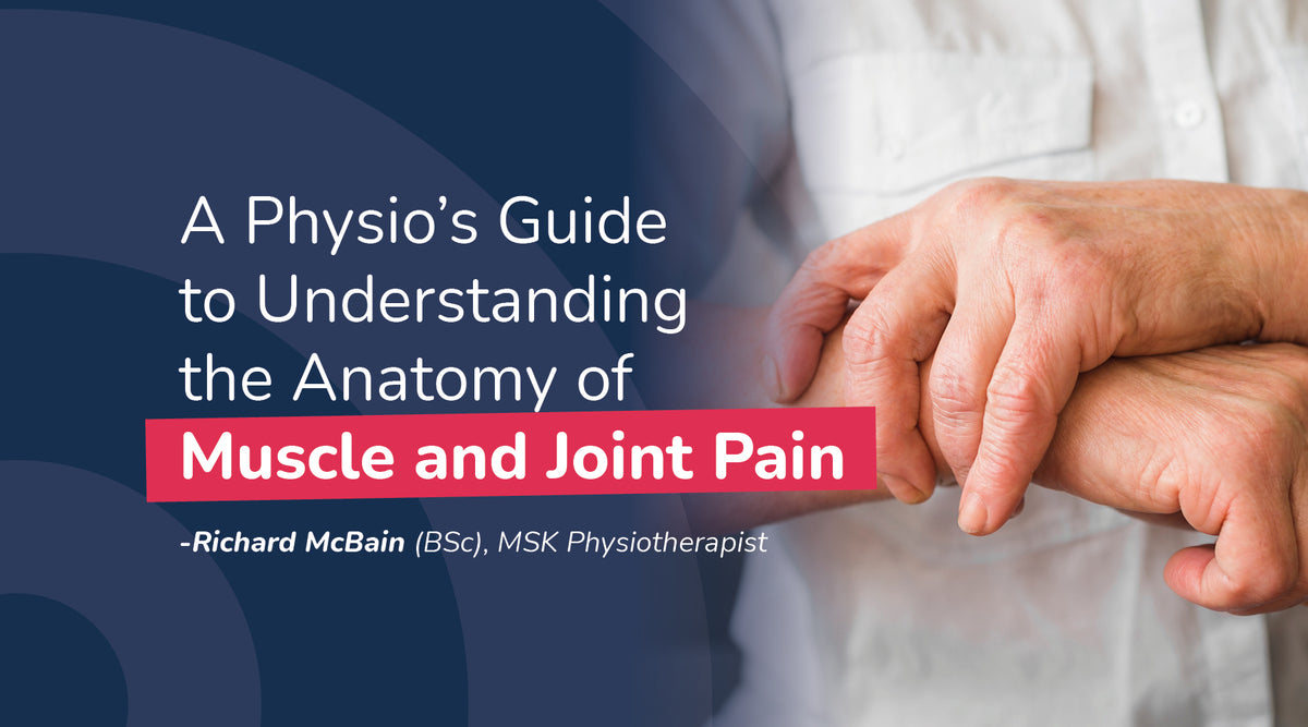 A Physio’s Guide to Understanding the Anatomy of Muscle and Joint Pain ...