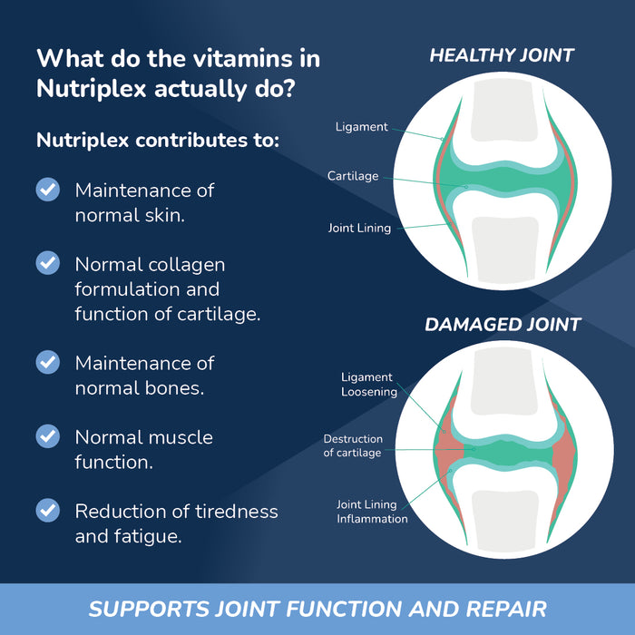 Nutriplex Collagen Rich Joint Supplement | Joint Health — Tower Health