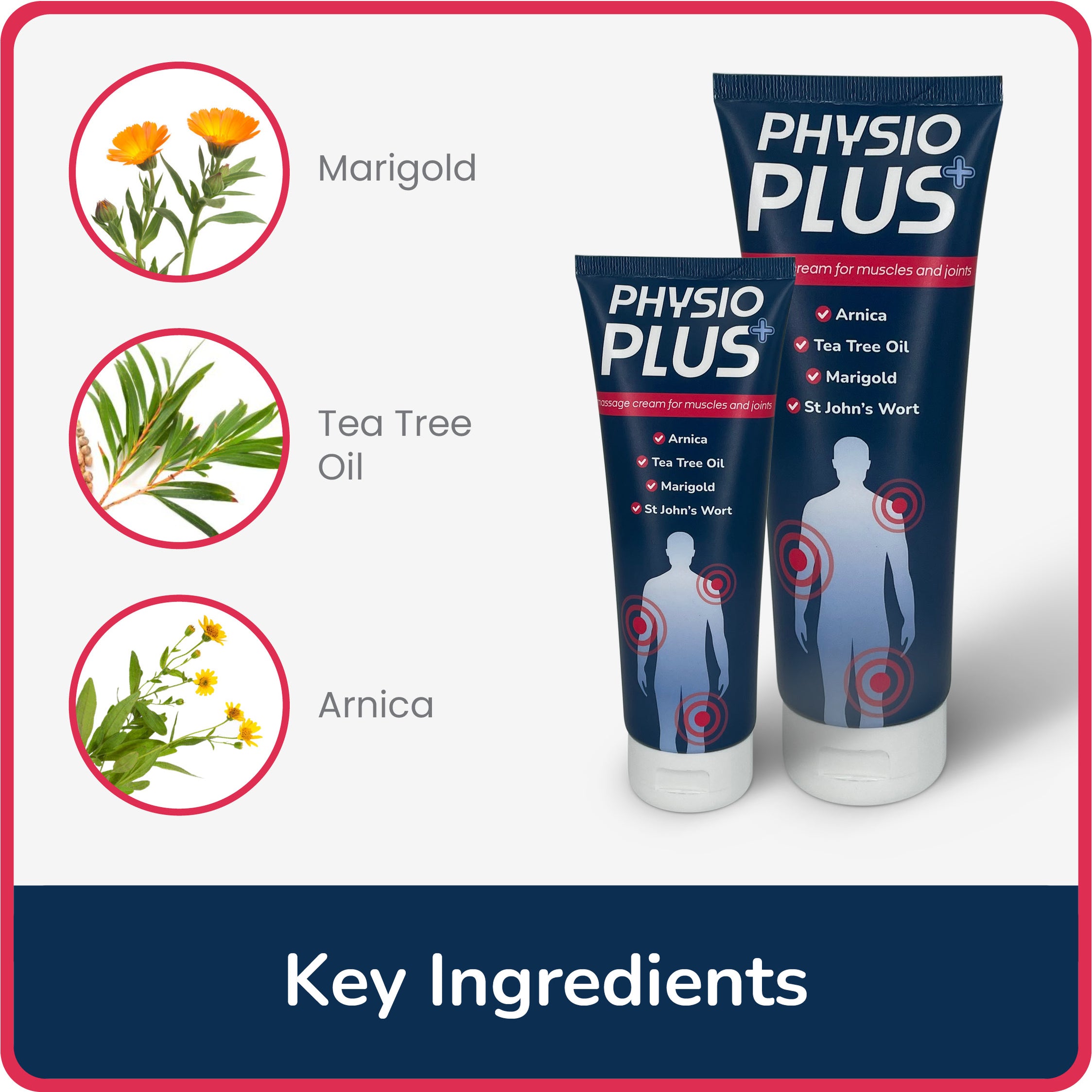 Natural Muscle Pain Relief Cream - FisioPlus - Tower Health
