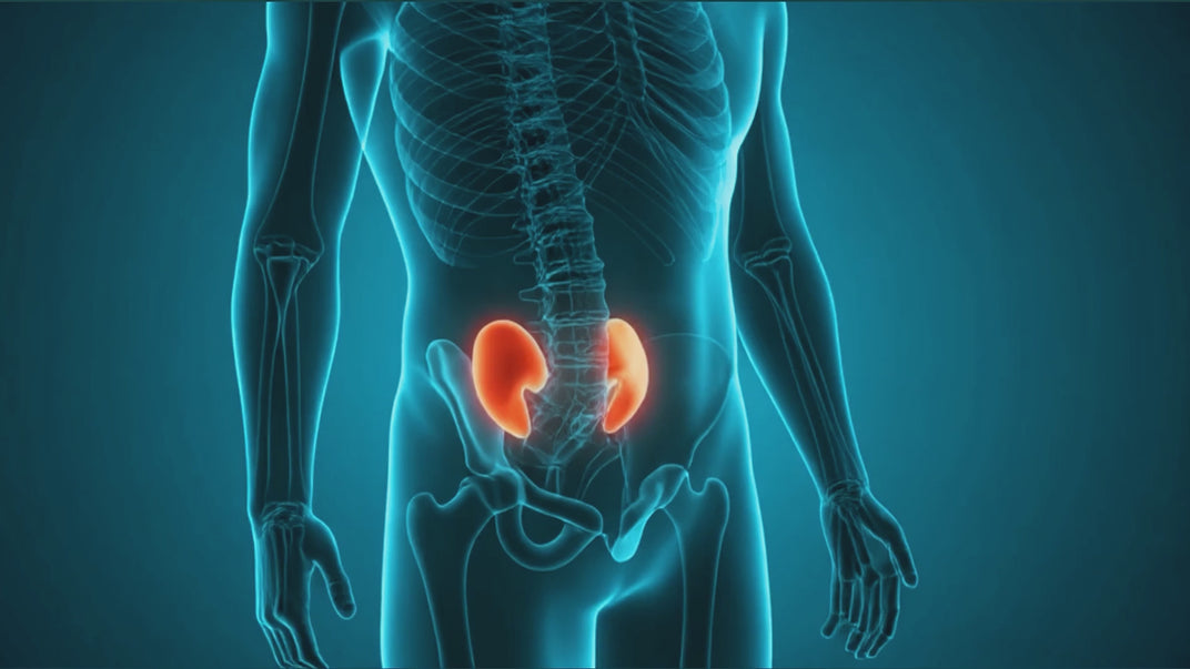 Best Lyfe – Tower Health